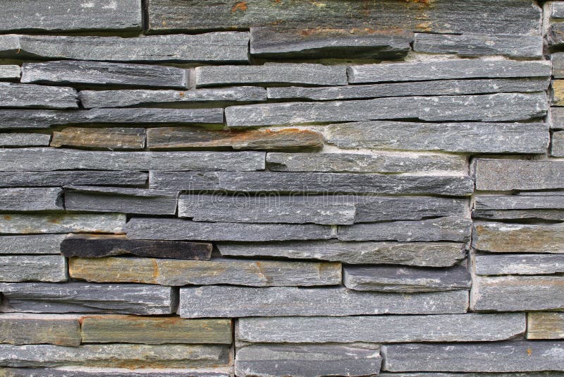 Slithers Stock Images - Download 128 Royalty Free Photos