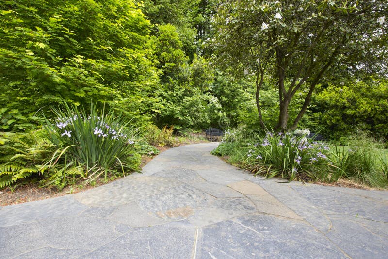 Slate Stone Garden Path with Plants Stock Photo - Image of shrubs ...