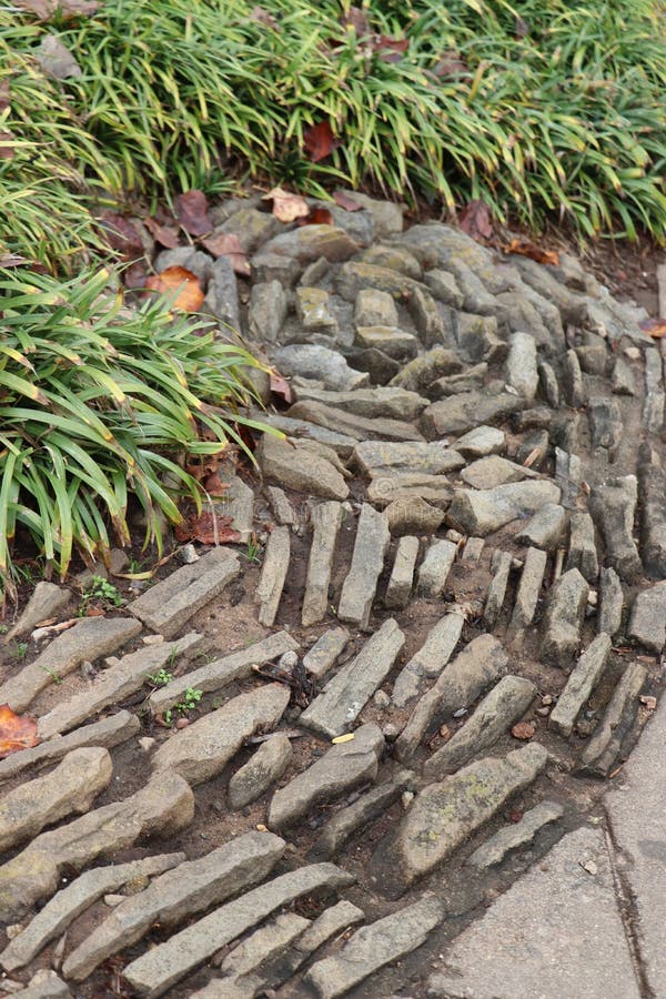 Slate Swirl and Liriope Along Sidewalk Stock Photo - Image of brown ...