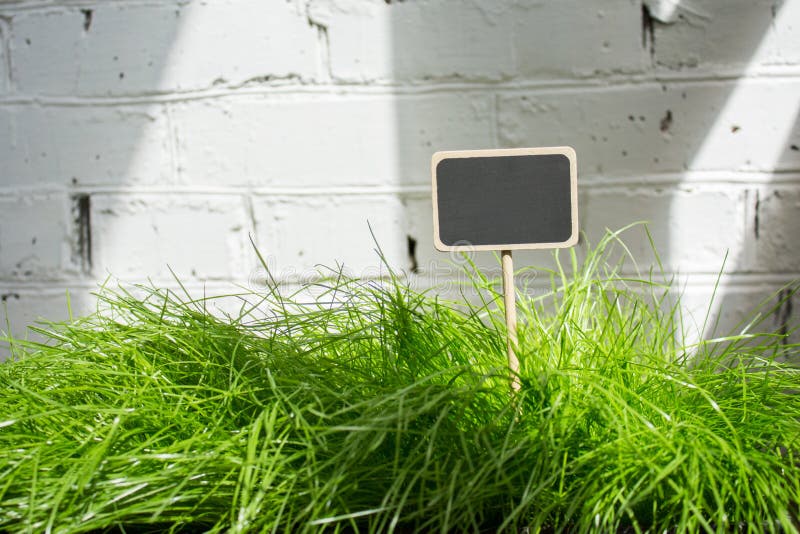 Slate topper stock photo. Image of natural, background - 96560820