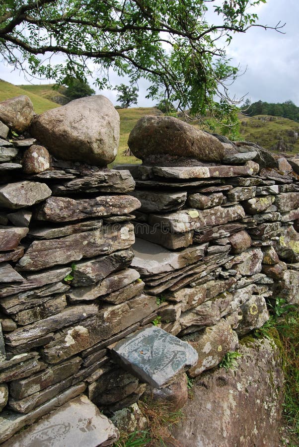 Slate wall step tree green stock photo. Image of wall - 161703378