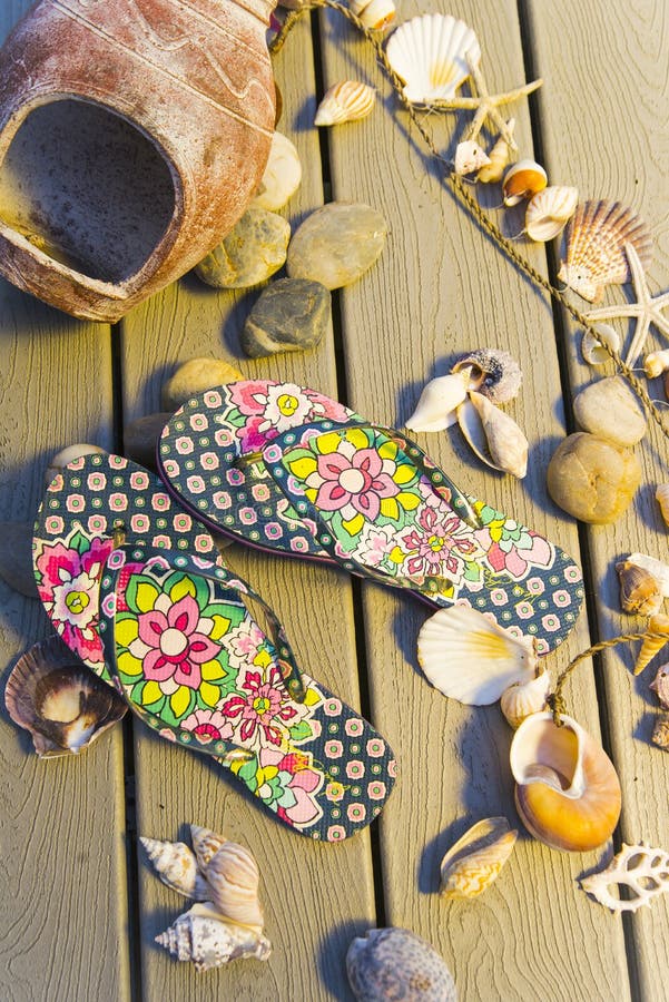 Slates and Finds of the Sea Stock Image - Image of colors, animal ...