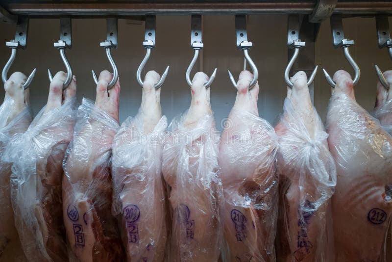 Slaughter house stock photo. Image of chopped, bone - 142782496