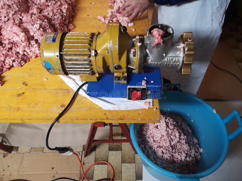 Slaughter Pig Processing for Sausages and Salami- Stock Photo - Image ...
