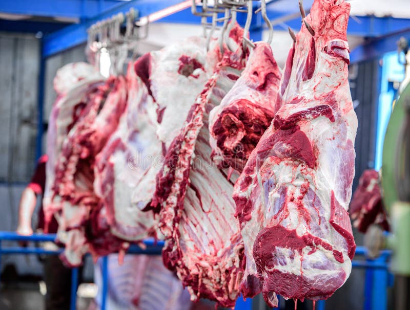 Slaughterhouse Cows, Hanging on Hooks Stock Image - Image of people ...
