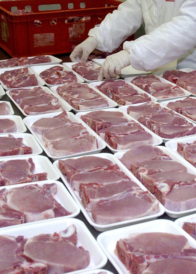 Slaughterhouse Workers in the Refrigerator Editorial Photo - Image of ...