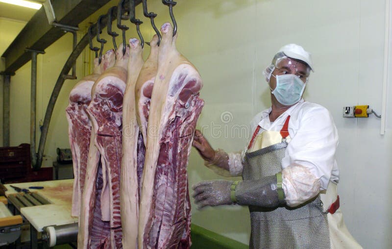 241 Beef Industry Workers Stock Photos - Free & Royalty-Free Stock ...