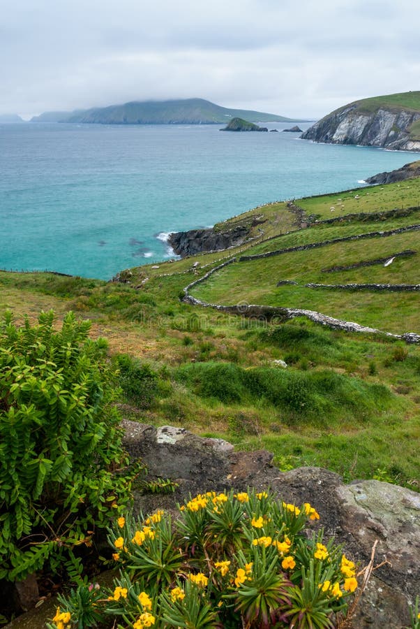 Slea head stock image. Image of kerry, rocks, dunquin - 98595643