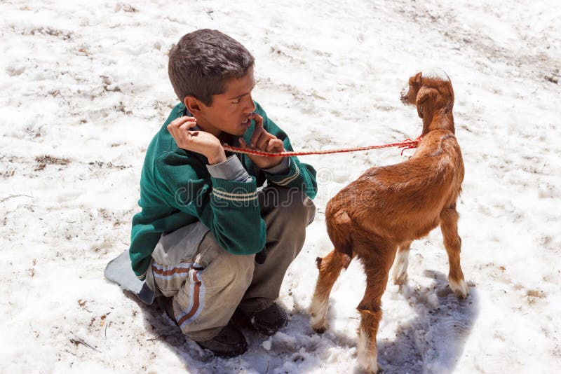 Slecht Indisch Jong Geitje, De Inwoner Van Kashmir Redactionele ...