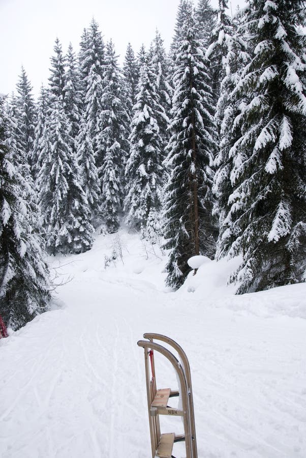 Sled stock image. Image of forest, powder, skid, sleigh - 13142401