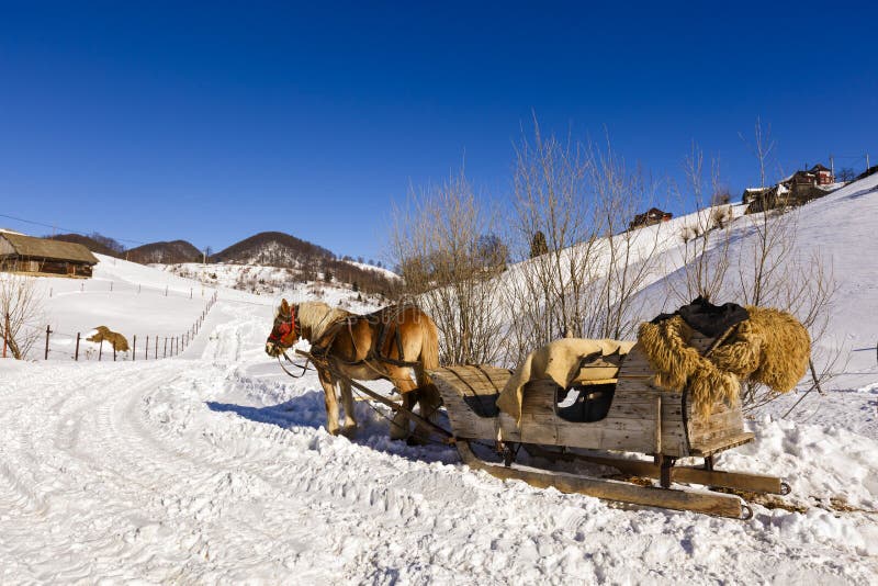 Sled pulled by horse stock image. Image of nature, cold - 85345169