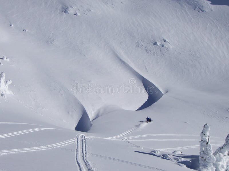 Sled Tracks Picture. Image: 549403