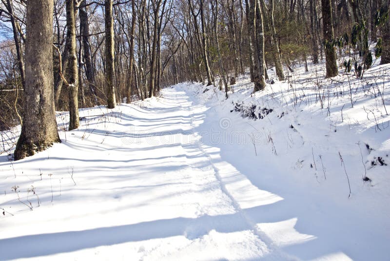 Sled Tracks in the Snow stock photo. Image of natural - 7343044
