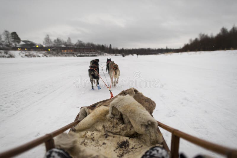 Traditional Sami People in the Norways Lapland, Tromso Editorial Stock ...