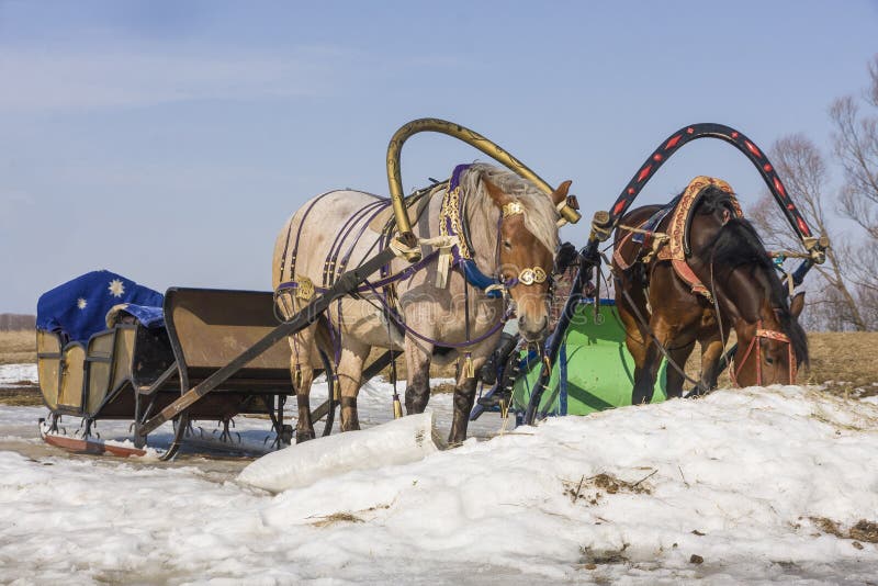 Sledge stock photo. Image of frost, cart, actions, horizontal - 54988782