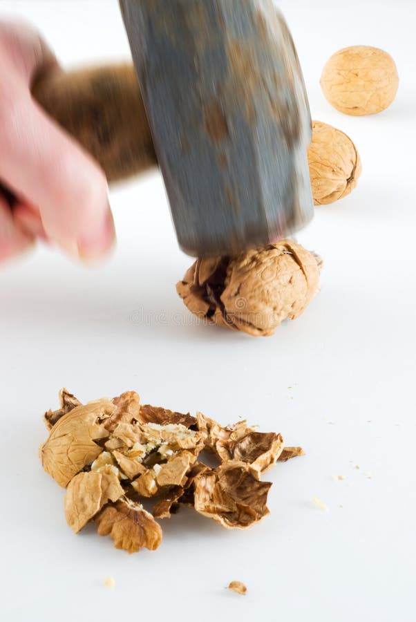 Sledgehammer to crack nuts stock photo. Image of crush - 4977238