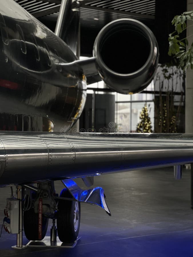 Aviation Decor. a Sleek Aircraft is Showcased As a Striking Interior ...