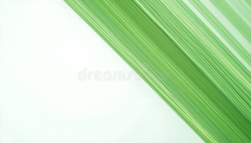 Modern Abstract Green Geometric Banner Background with Diagonal Stripes ...