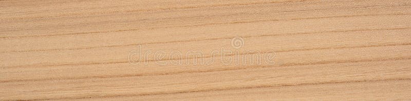 Sleek Gray Elm Veneer with Smooth Horizontal Grain Lines Stock Photo ...