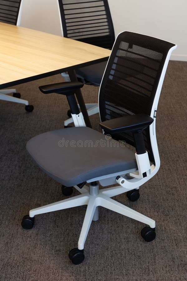 A Sleek and Modern Ergonomic Office Chair with a Mesh Backrest and ...