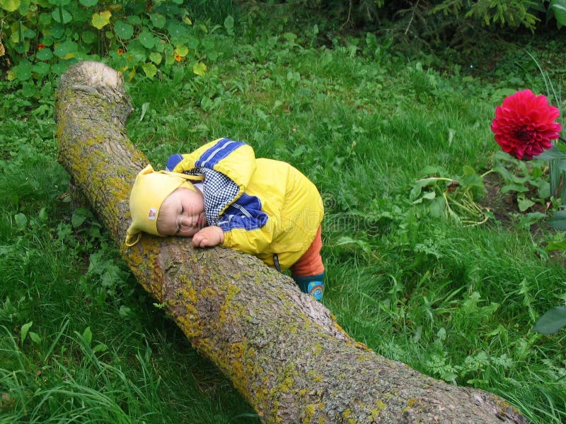 Sleep stock image. Image of sleep, drowsiness, flower, child - 935857