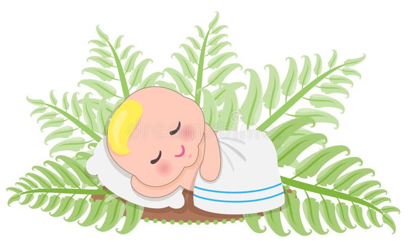 Sleep Baby in Fern stock vector. Illustration of finger - 79851353
