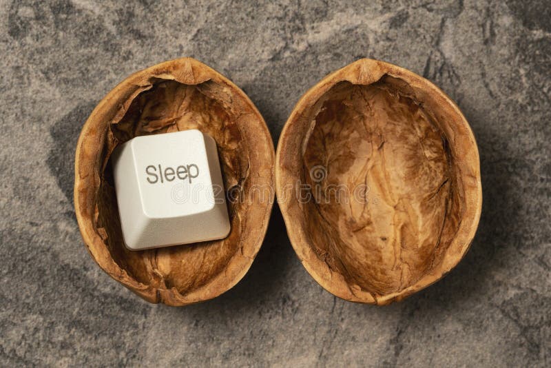 SLEEP Computer Button in a Cracked Walnut Shell Stock Image - Image of ...