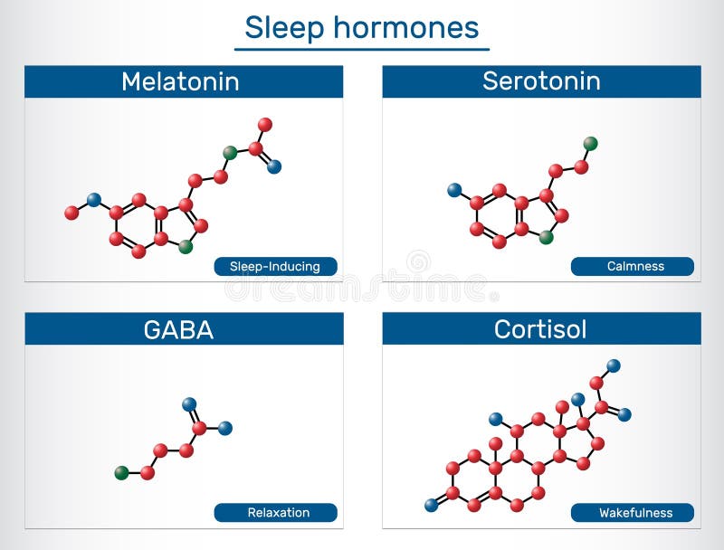 Sleep Hormone Molecule. Structure and Function of Melatonin, Serotonin ...