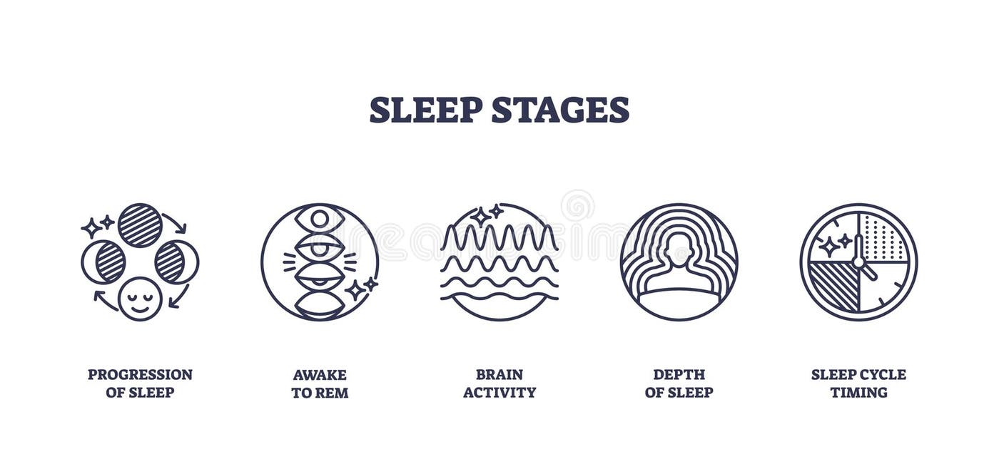 Sleep Stages Stock Illustrations – 363 Sleep Stages Stock Illustrations ...