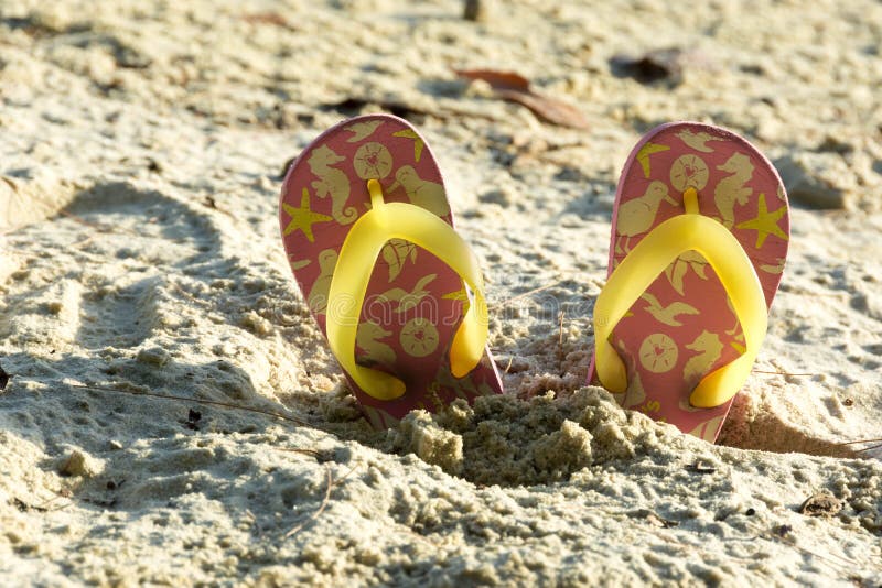 Sleepers on a Beach in a Summer Outing Stock Image - Image of glasses ...