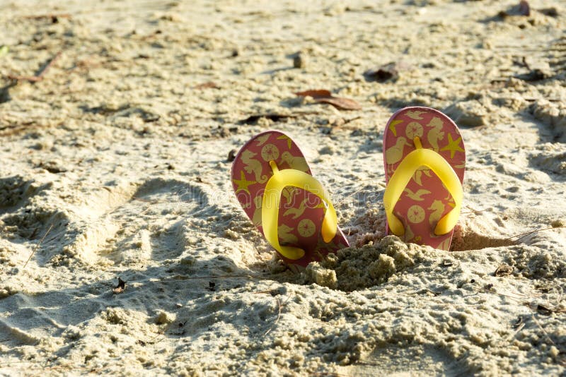 Sleepers on a Beach in a Summer Outing Stock Photo - Image of vacation ...