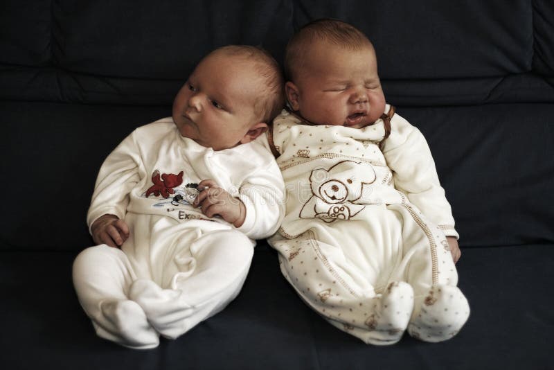 Puppies stock image. Image of dogs, puppies, pets, animals - 23301575