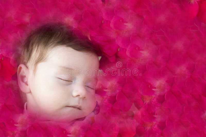 Sleeping Baby Surrounded by Pink Flowers Stock Image - Image of resting ...