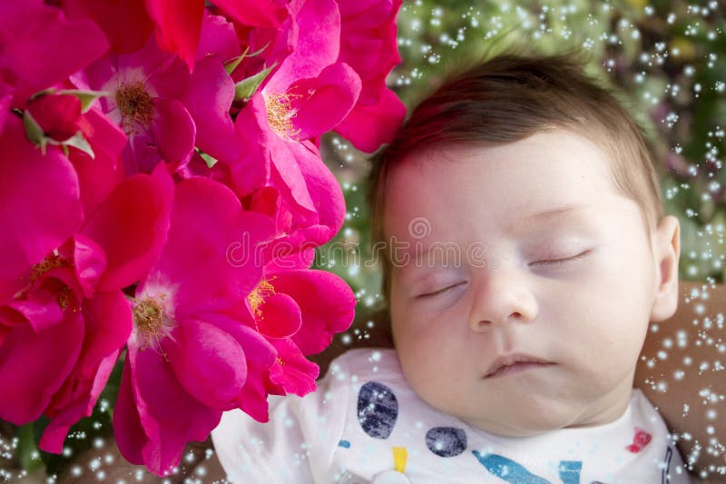 Sleeping Baby Surrounded by Pink Flowers Stock Photo - Image of ...