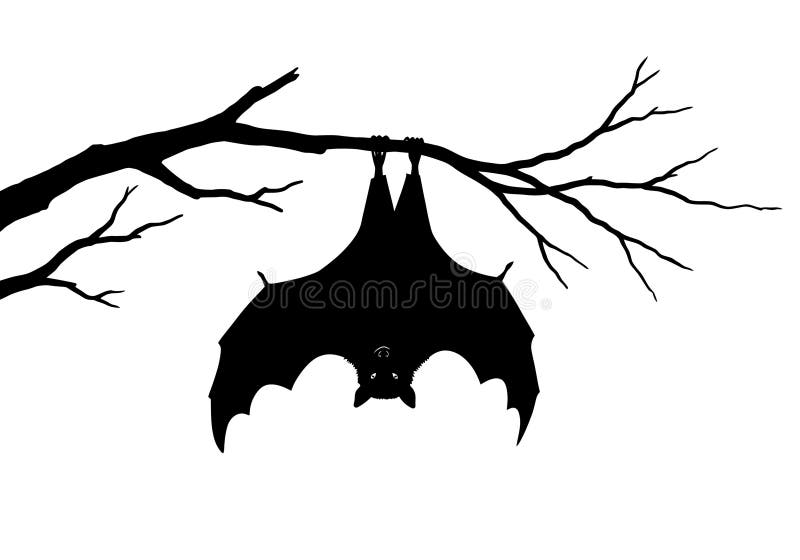 Sleeping bat silhouette stock illustration. Illustration of monochrome ...