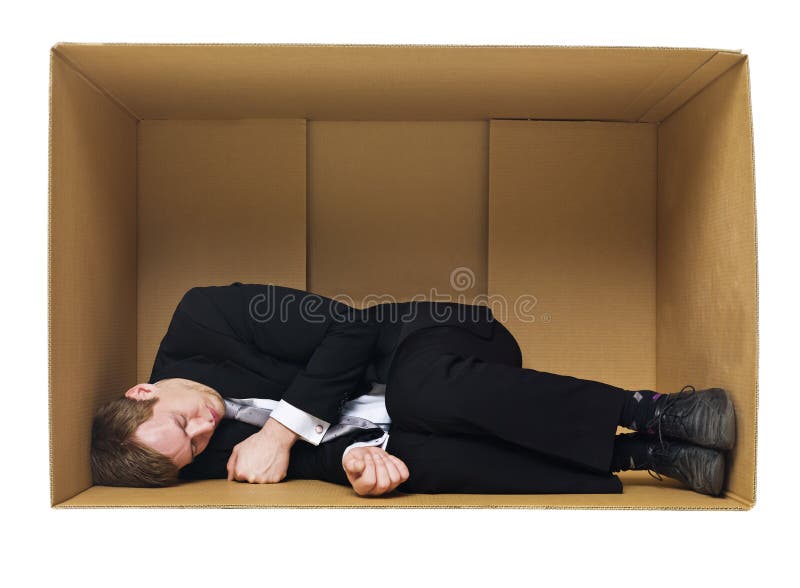 Cat sleeping in cardboard stock photo. Image of sleeps - 277666546