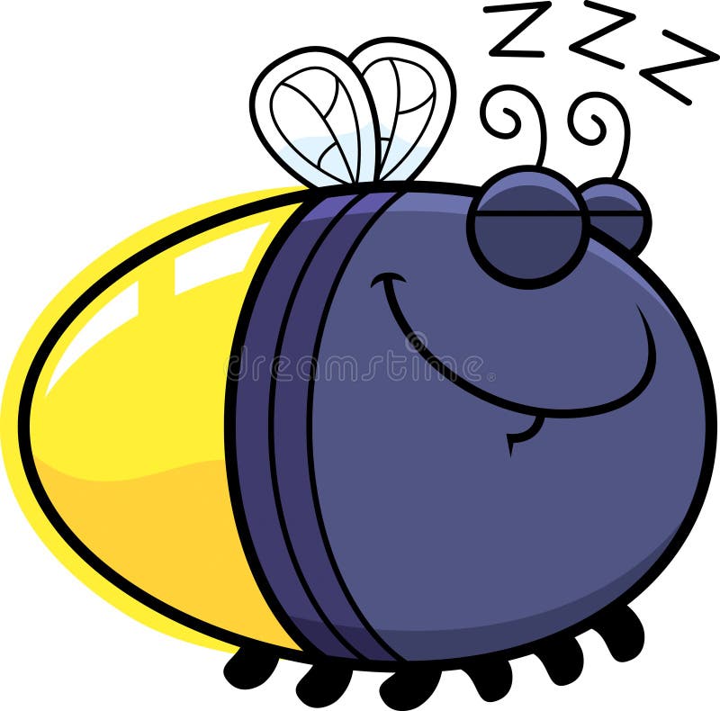 Sleeping Cartoon Firefly stock vector. Illustration of firefly - 47088491