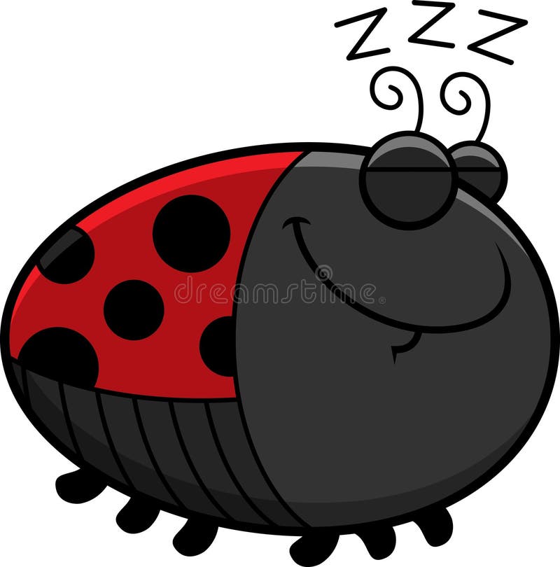 Ladybug Sleeping Stock Illustrations – 172 Ladybug Sleeping Stock ...