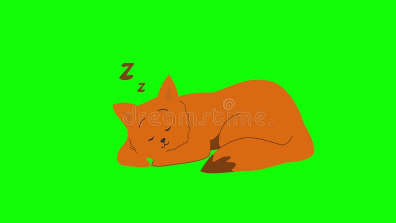 Sleeping Cat 2D Character Animation. Stock Video - Video of relax ...