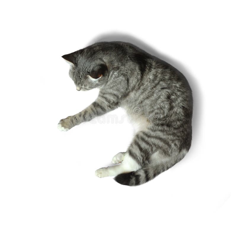 Tiff File Stock Photos - Free & Royalty-Free Stock Photos from Dreamstime