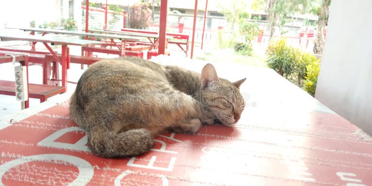 Cute Girl Anime Videos Stock Photos - Free & Royalty-Free Stock Photos ...