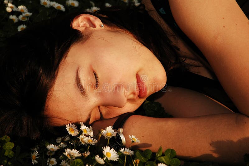 Sleeping the flowers 5 stock image. Image of blue, beauty - 781195