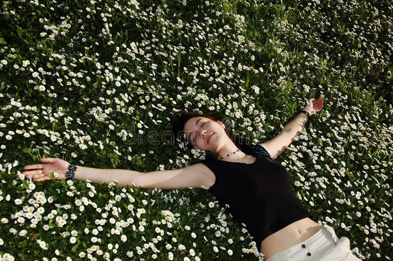 Sleeping the flowers 5 stock image. Image of blue, beauty - 781195