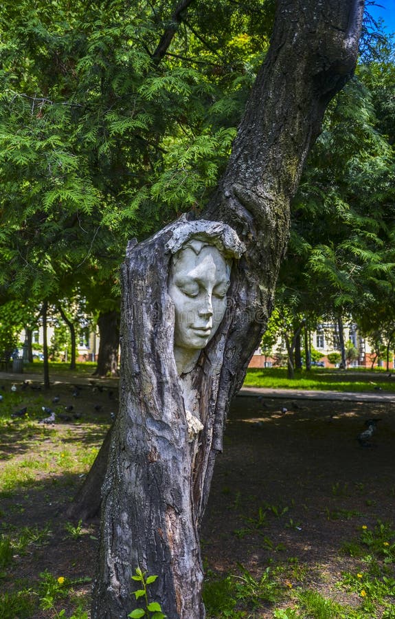 Sleeping Forest Mermaid in a Tree Waiting for Spring Stock Photo ...