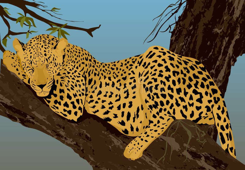Sleeping leopard stock illustration. Illustration of animal - 4393465