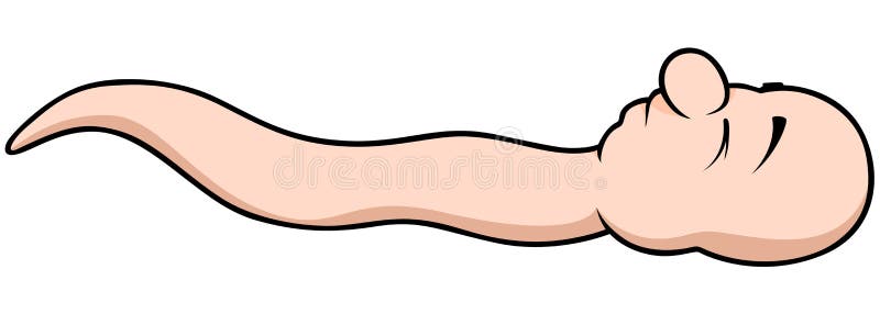 Sleeping Worm Stock Illustrations – 109 Sleeping Worm Stock ...