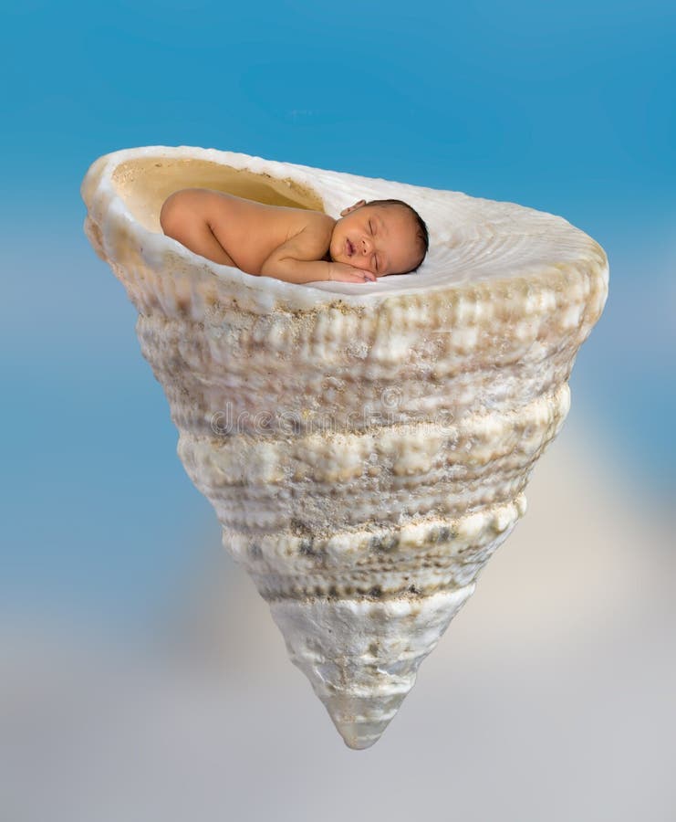 Newborn Seashell Picture