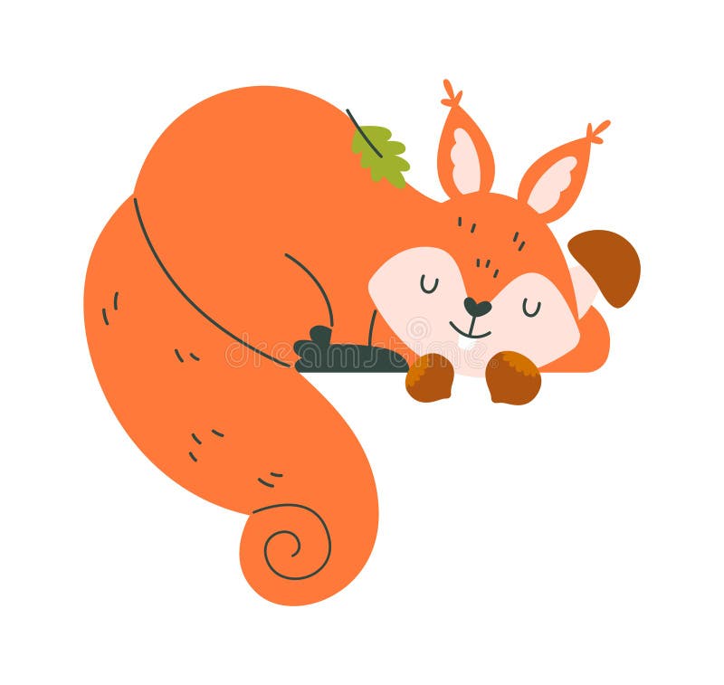 Sleeping Squirrel Animal stock vector. Illustration of wild - 282984404