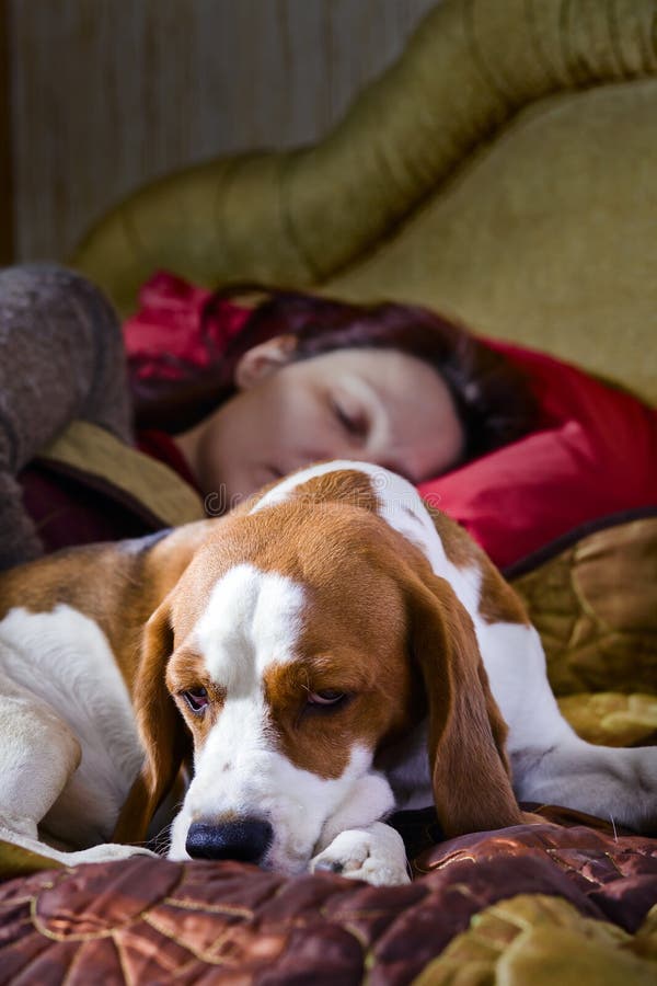 Young Woman is Lying and Sleeping with Poodle Dog in Bed. Stock Image ...