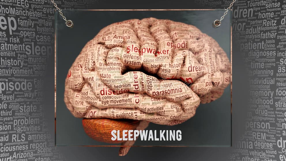 Sleepwalking in Human Brain Stock Illustration - Illustration of ...